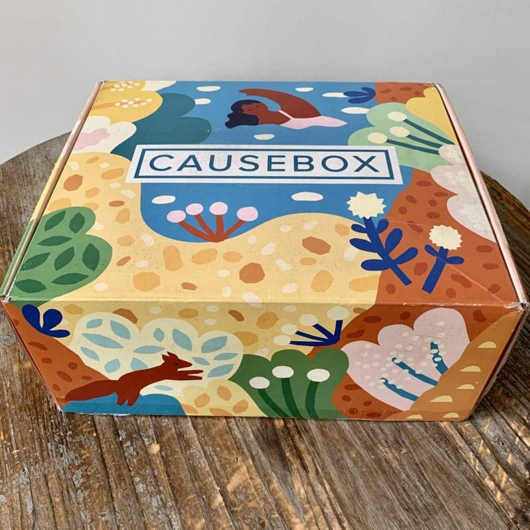 CAUSEBOX Summer 2020 Welcome Box Review - Subboxy
