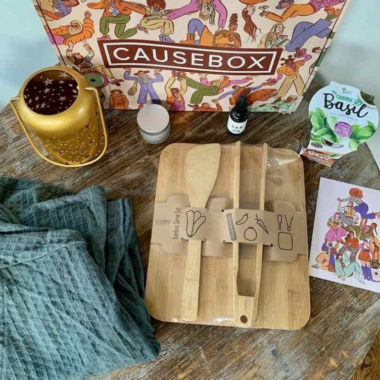 CAUSEBOX Fall 2020 Review - Subboxy