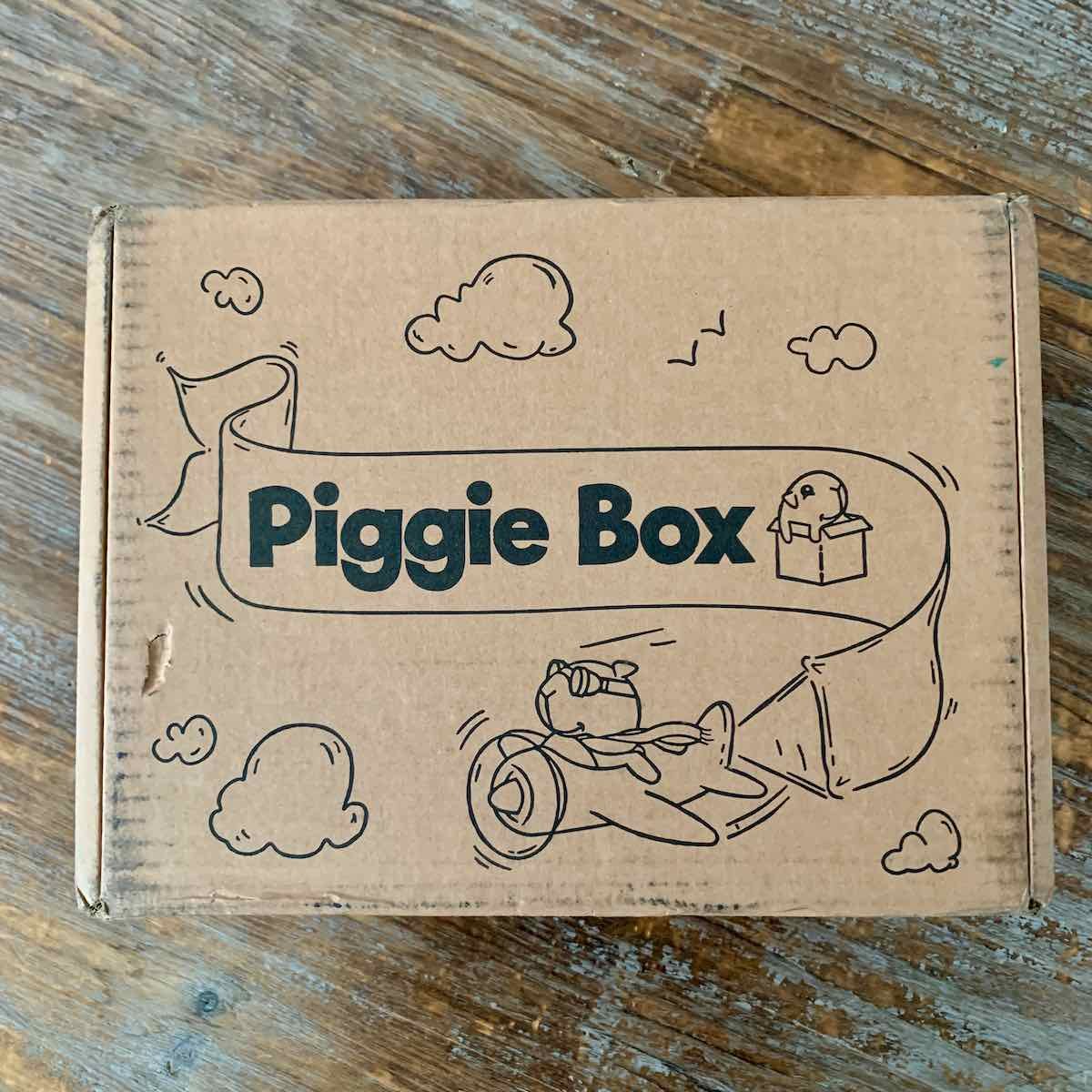 Piggie Box November 2020 Review - Subboxy
