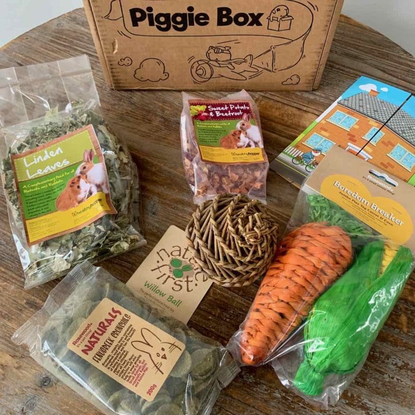 Piggie Box November 2020 Review - Subboxy