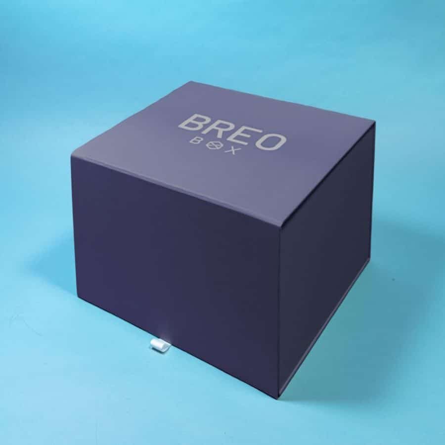 BREO BOX Summer 2021 Spoilers #1 and #2 - Subboxy