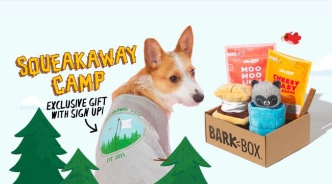 BarkBox June 2021 Flash Deal - FREE Camp Tee! - Subboxy
