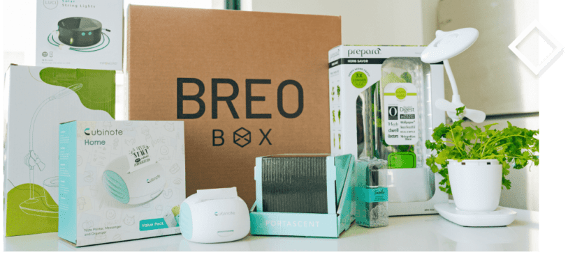 BREO BOX Summer 2021 Spoilers #1 and #2 - Subboxy